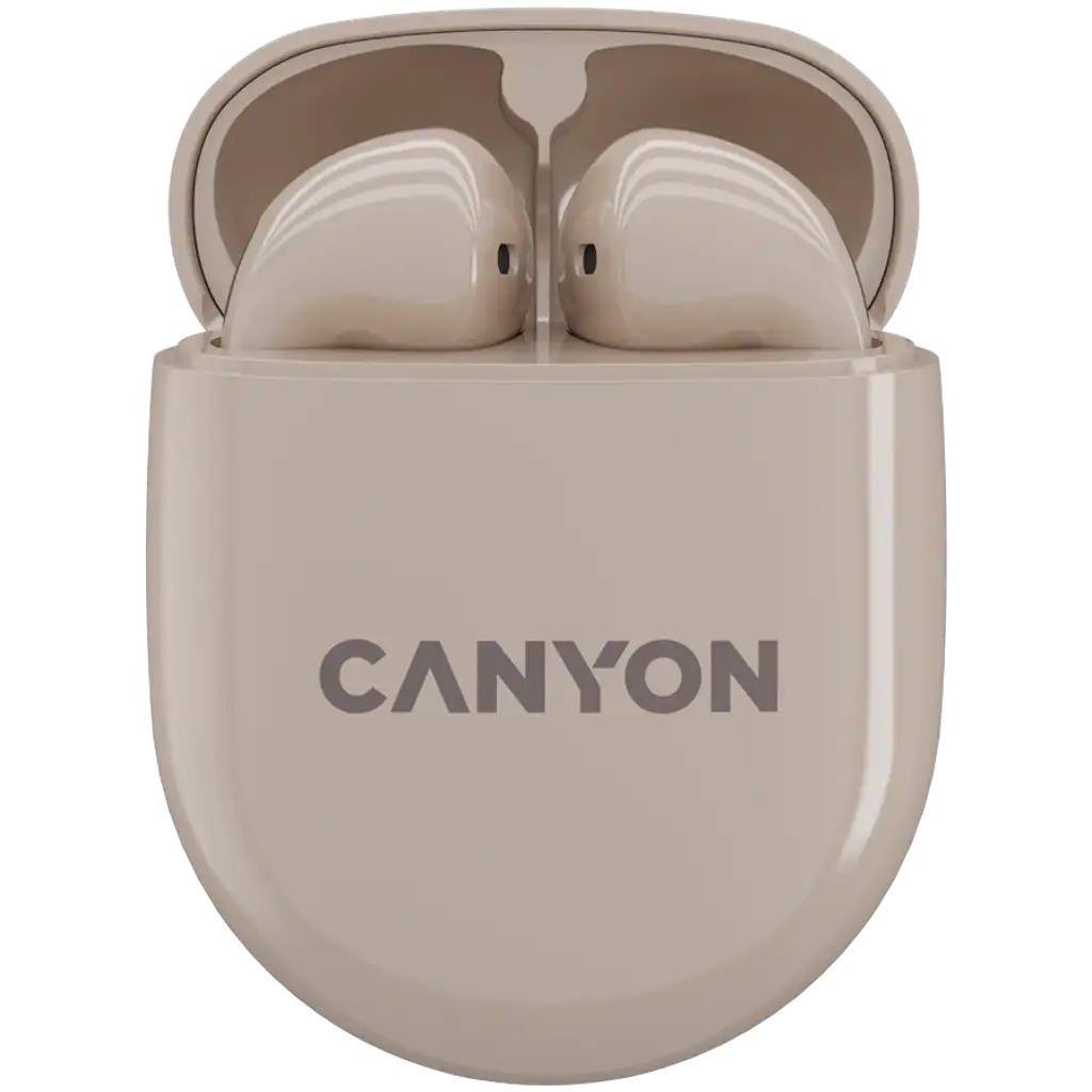 True wireless stereo headset TWS-6 - Canyon