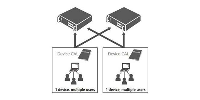 Microsoft CALs Distribution | Client Access Licenses